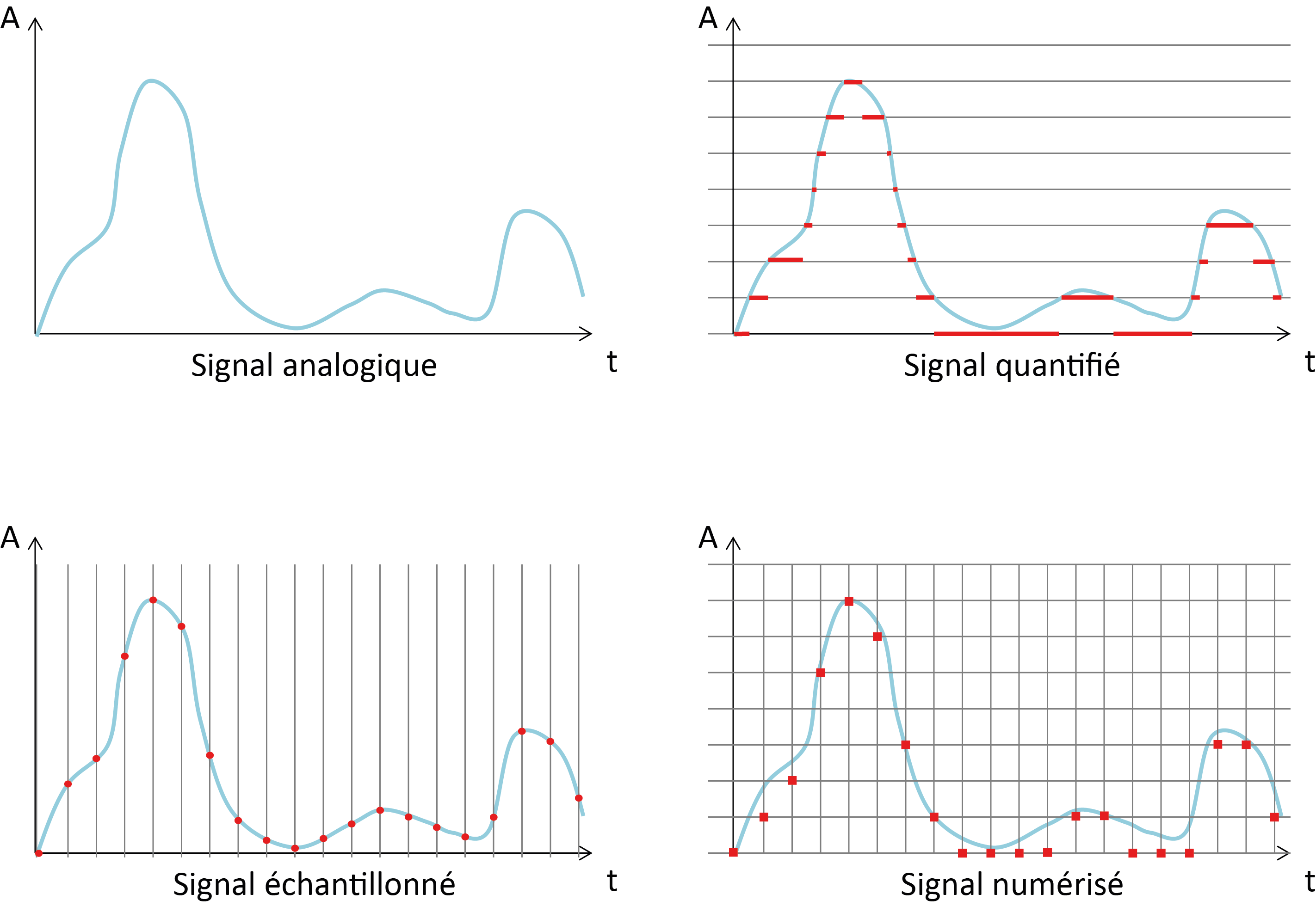 Eclairage scientifique – Signal vs information — Pixees